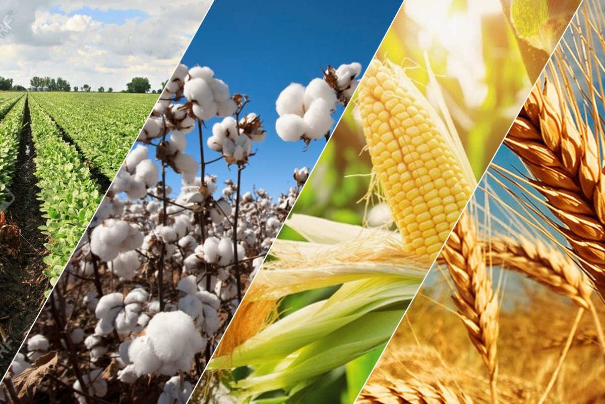 about – MGL Global Logistics